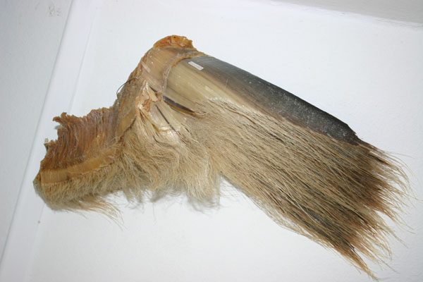 Einzelobjektansicht | Museen Schleswig - Holstein & Hamburg